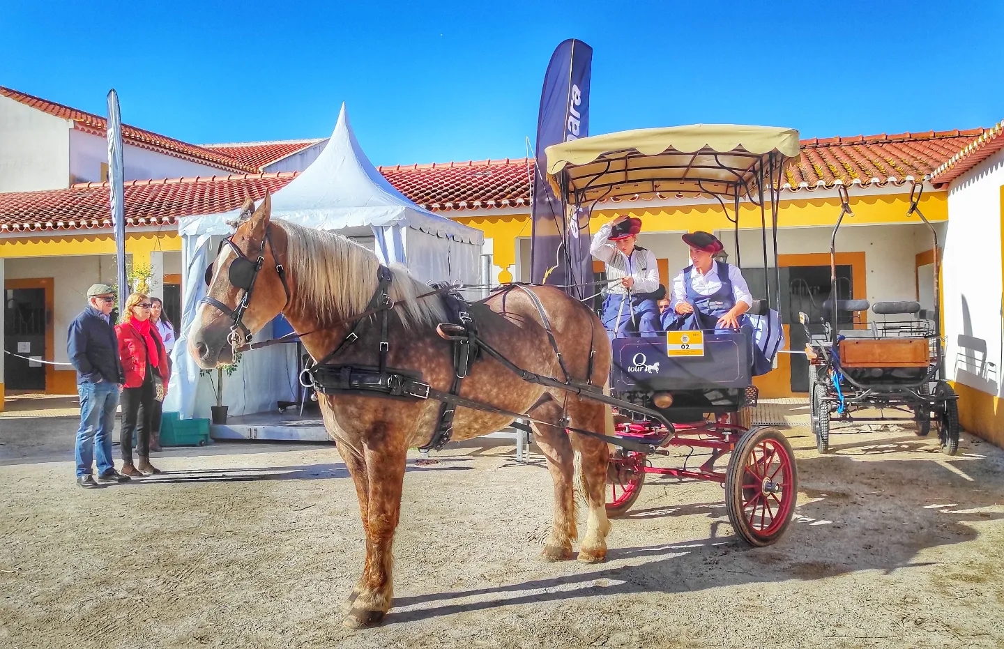 Portuguese annual horse fair