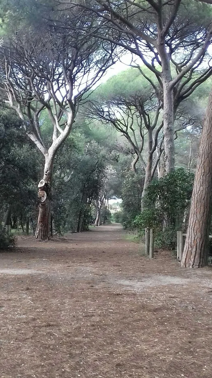 Path