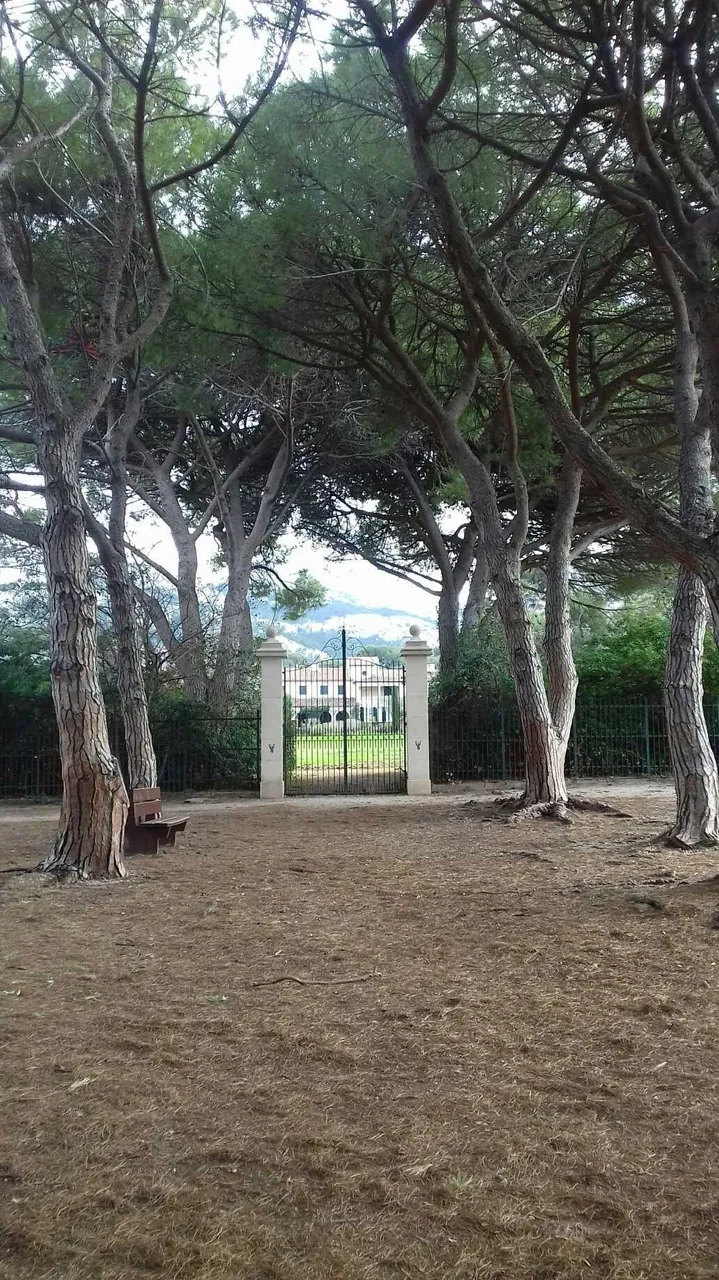Path